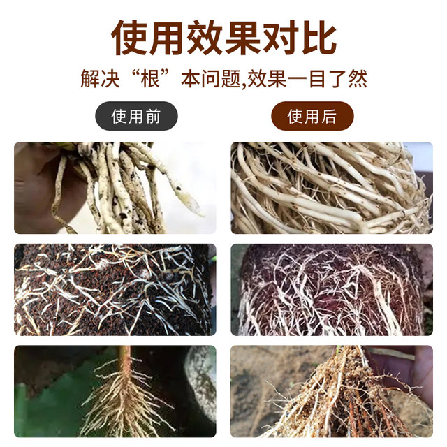 Powerful rapid rooting liquid powder cutting nutrient solution plant ...
