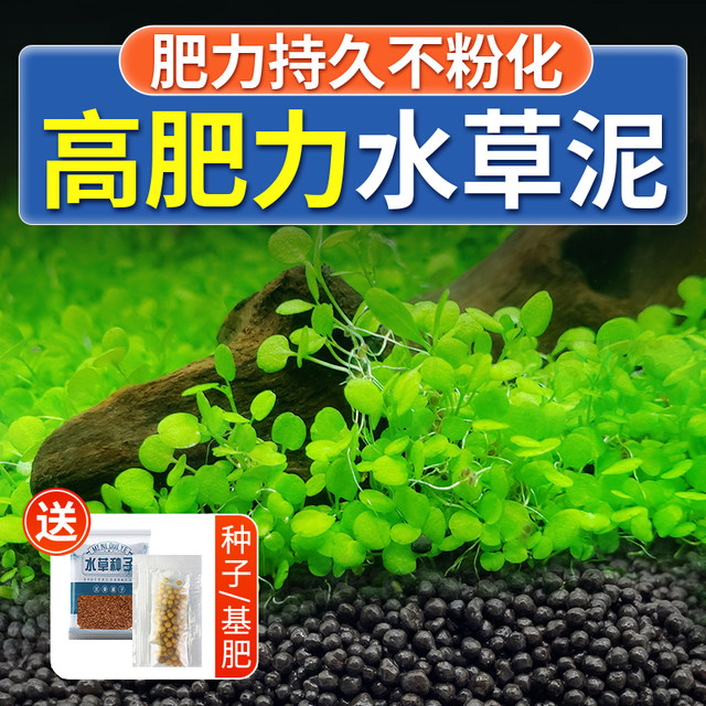 Ecological fish tank special water grass mud water purification ...