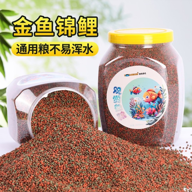 Fish Grain Goldfish Feed Watching Fish Koi Fish Fish Fish Fish Fish ...