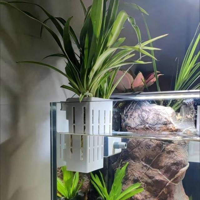 Fish tank hydroponic planting basket, water grass cup, plant fixed ...