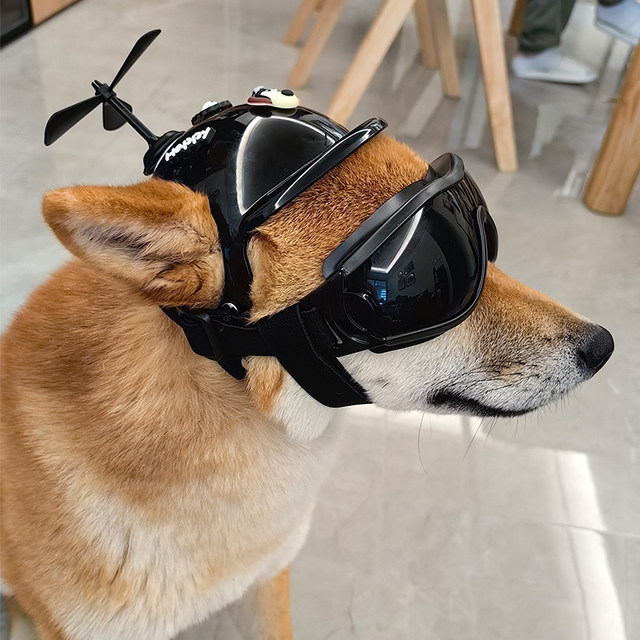 24 New Pet Glasses Dog Goggles Corgi Teddy Sunglasses Sunglasses Shiba ...