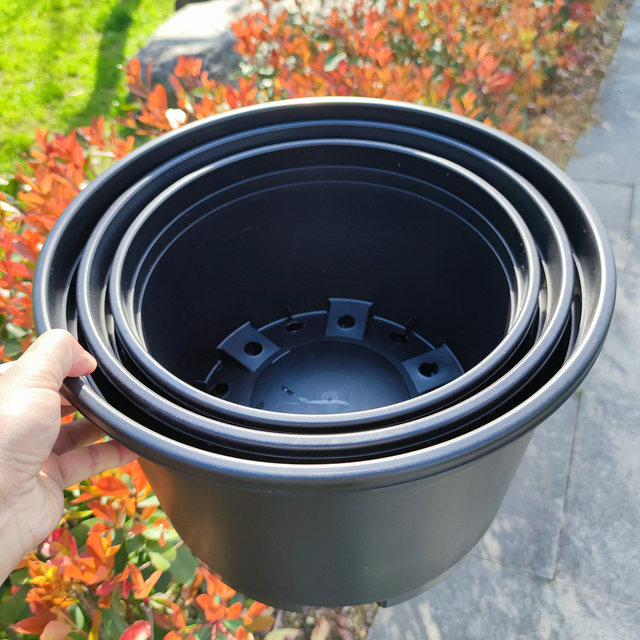 Extra-large flower pot large-caliber black currant potted flower pot ...