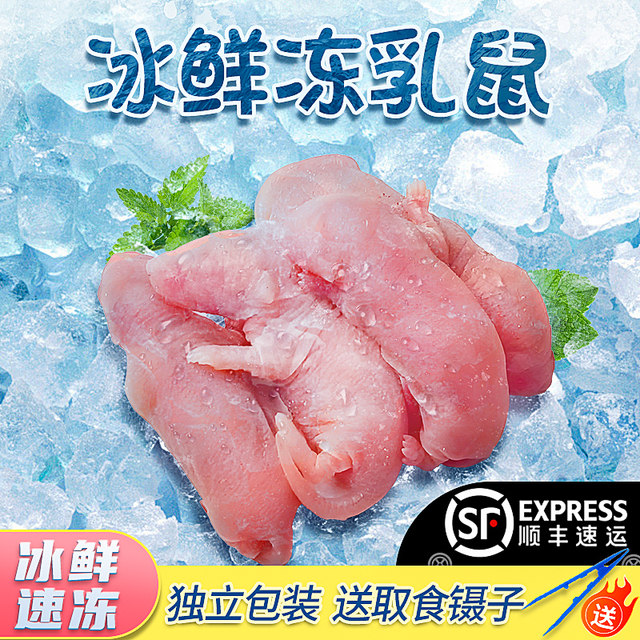 SF frozen milk rats climbing food little white mice frozen rat sterile ...