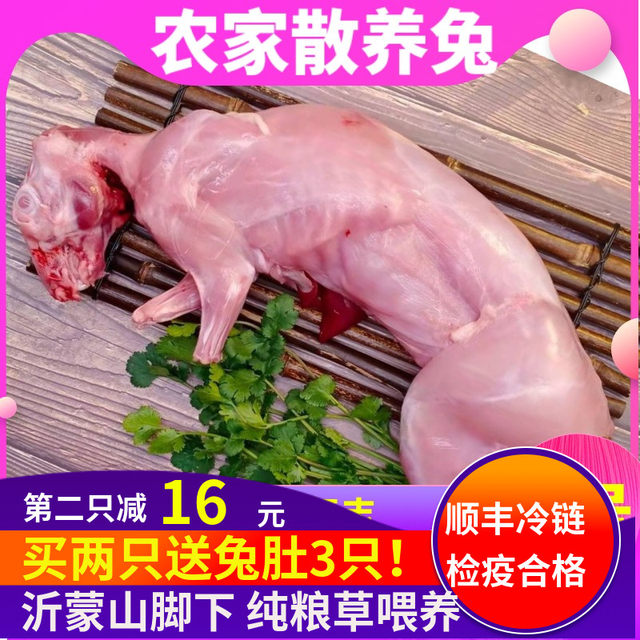 Fresh rabbit meat large size freshly killed frozen raw rabbit meat ...