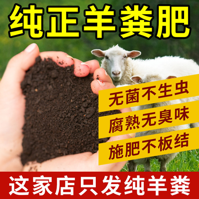 Sheep manure fermented organic fertilizer egg granules special for ...