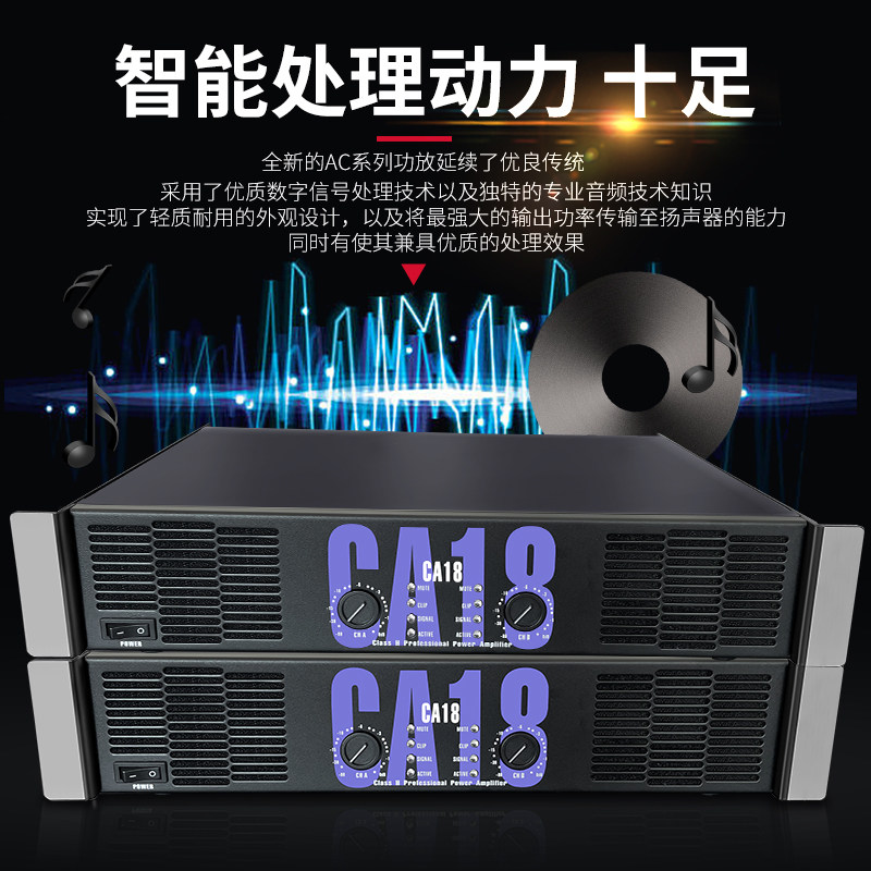Dual-Channel Professional Stage Amplifier for Performances and Events