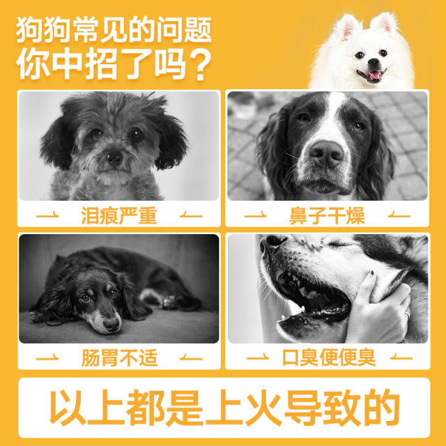 Odin Cat Food and Dog Food, General Nutrition for Adults and Young Cats and Dogs, Duck Meat ...