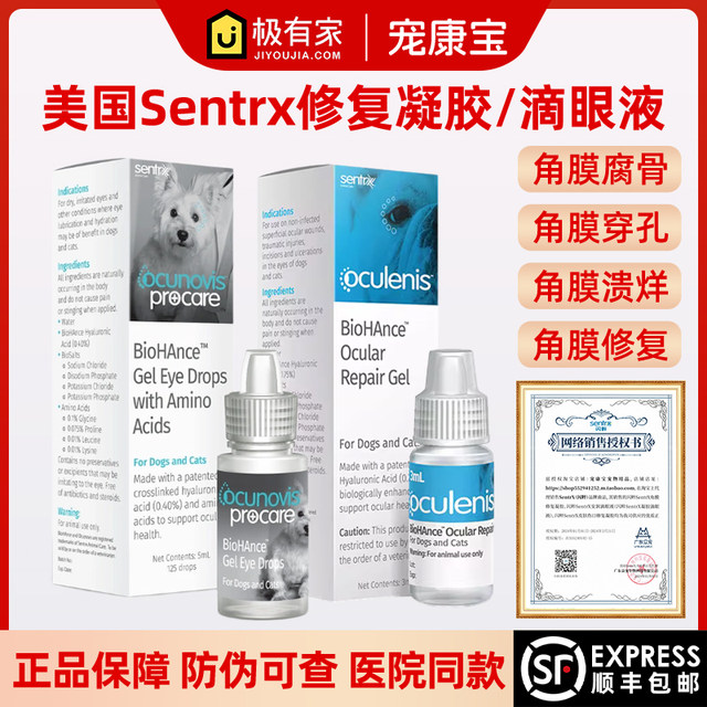 American SentrX gel corneal bone repair cat keratitis ulcer dog dry eye ...