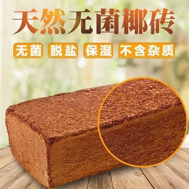 Flower Coconut Brick Manufacturers Direct Sales Nutritional Cultivation ...