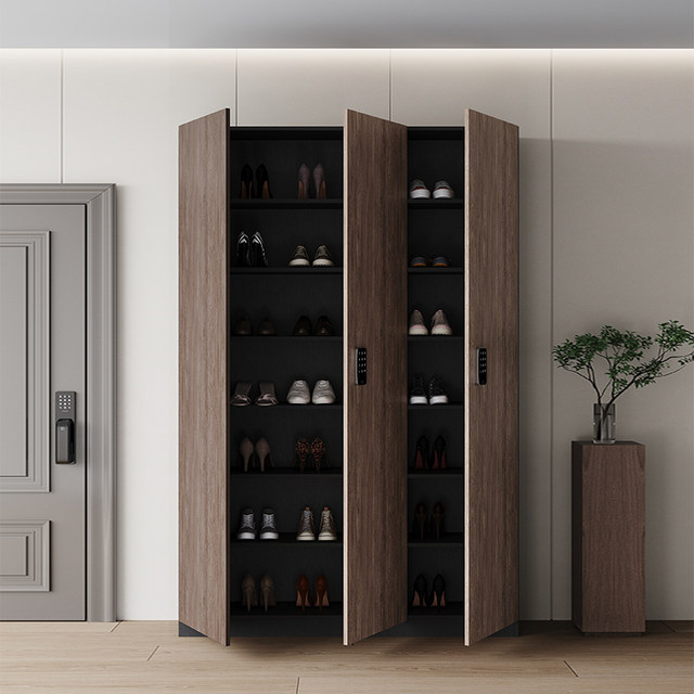 High-end shoe cabinet with lock, home doorway, corridor, elevator ...