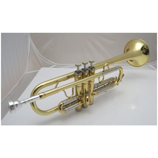 Weinuo's new brass school beginner C-key trumpet instrument ...