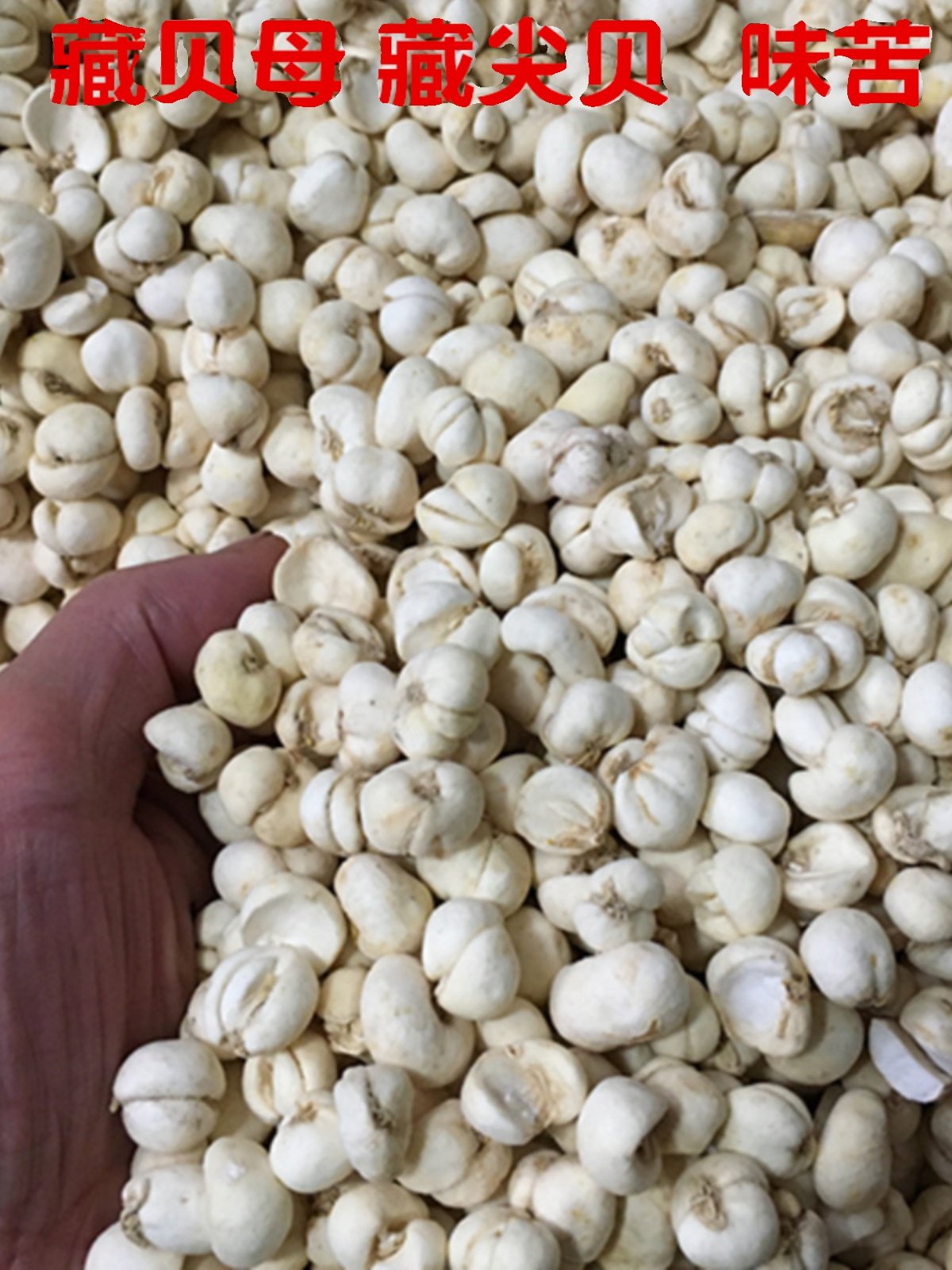 Tibetisches Lilienwurzelpulver 250g - Echtes Yuge Yangshengtang