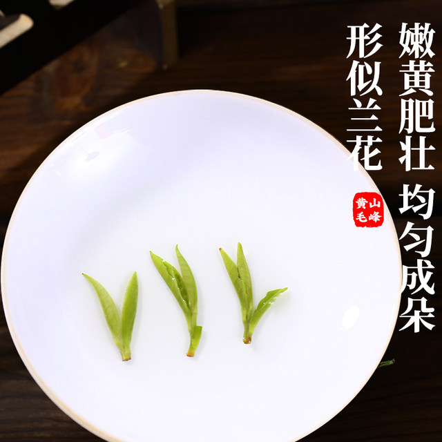 General Huihuang Huangshan Mao Peak 2024 New Tea Ming Green Tea Anhui ...