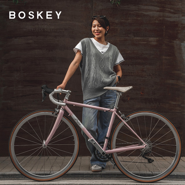 BOSKEY Shuttler steel frame retro comfortable road urban commuting ...