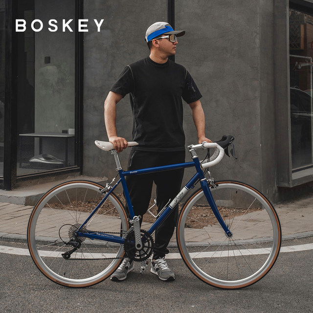 BOSKEY Shuttler steel frame retro comfortable road urban commuting ...
