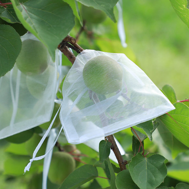 Fruit bagging, insect-proof and bird-proof bag, peach, apple, guava and ...