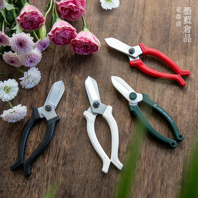 HANA scissors imported from Japan Chifang cut flowers flower scissors home cut flower branch ...