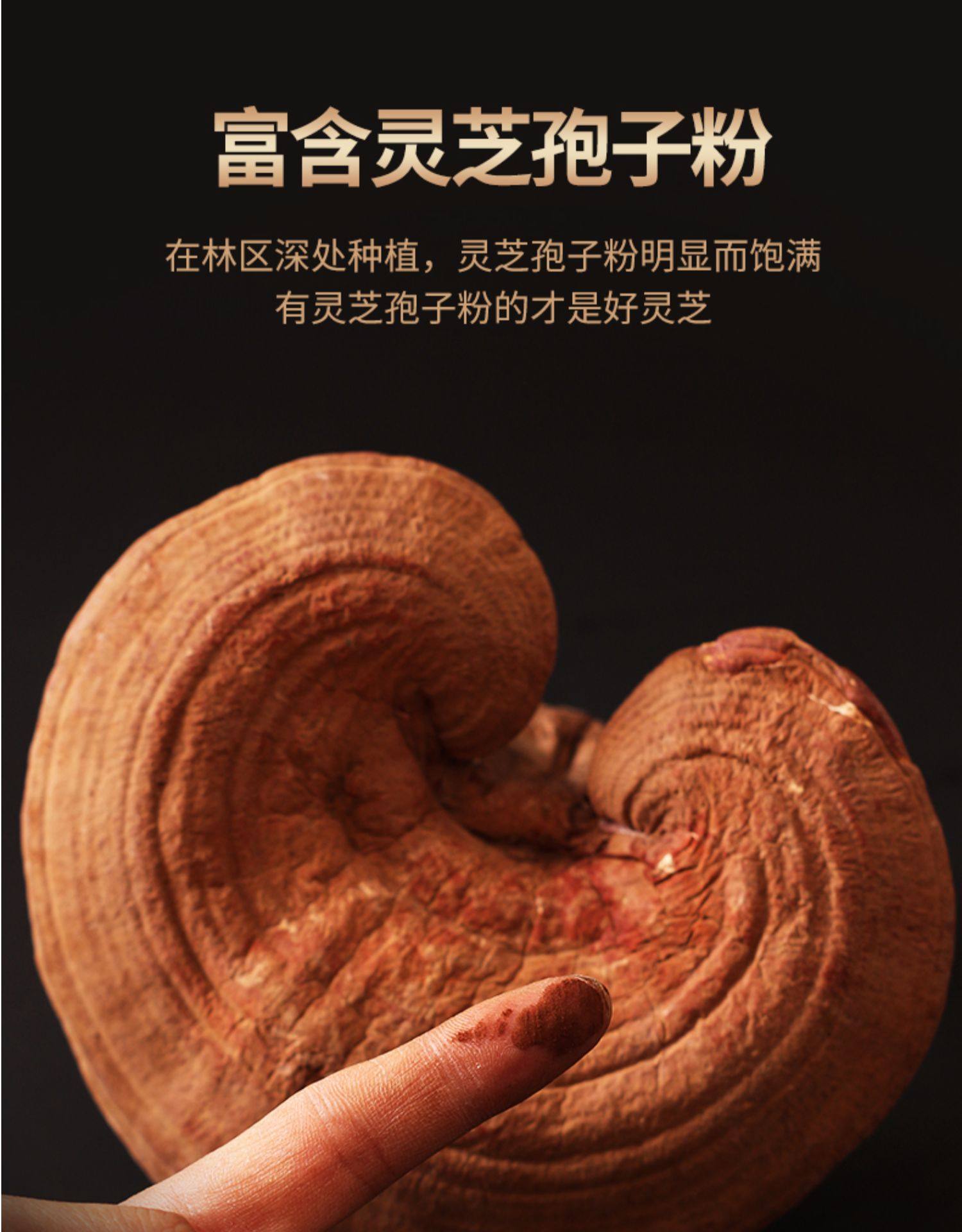 Ganoderma lucidum tablets - Wild selected ganoderma lucidum slices 500g ...