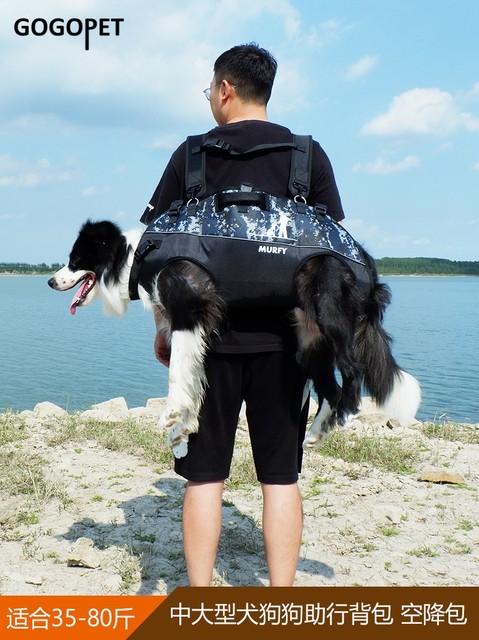 Large dog backpack backpack dog artifact back dog bag backpack Portable ...