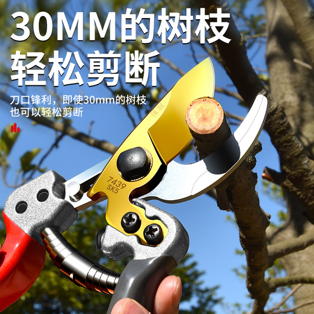 Scissors gardener, branches, branches, cut rough branches and cut ...