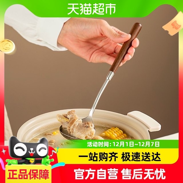onlyCook Stainless Steel Step Spoon Home Wooden Longpower Small Sketch ...