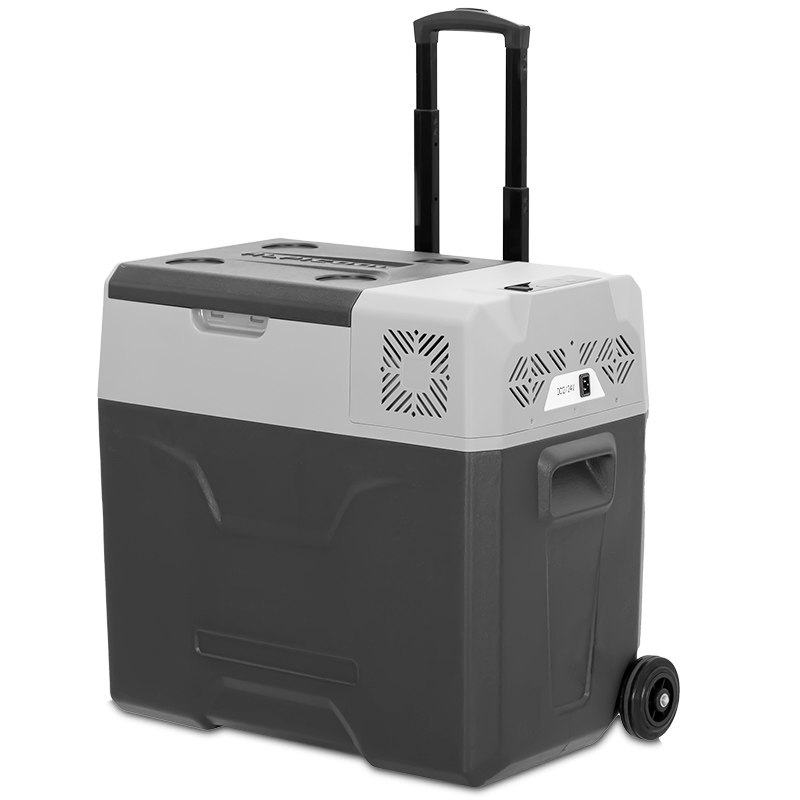 Alpicool Cx 20L Auto Koelbox - 12V/24V/220V Dual-Use Draagbare Koelkast