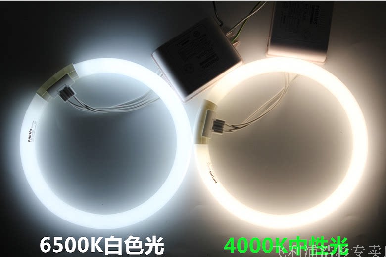 Philips T5 Ring Lamp - Ceiling Lamp - TL5C/TLE 22W/32W/40W
