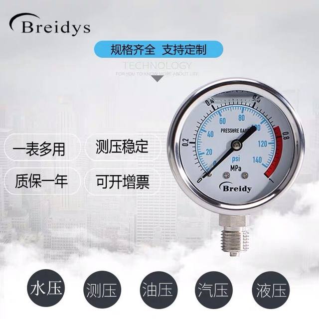 Pressure gauge air pressure gauge water pressure gauge YN60 stainless steel shock-resistant ...