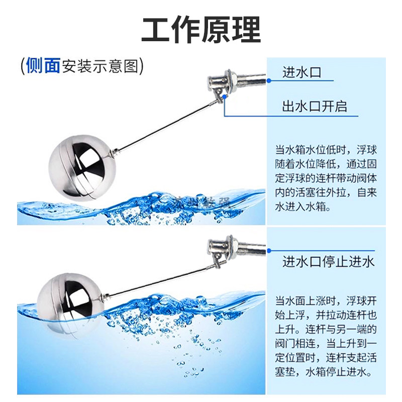 Rice Steamer - 4-Part Water Separator, Stainless Steel Water Level ...