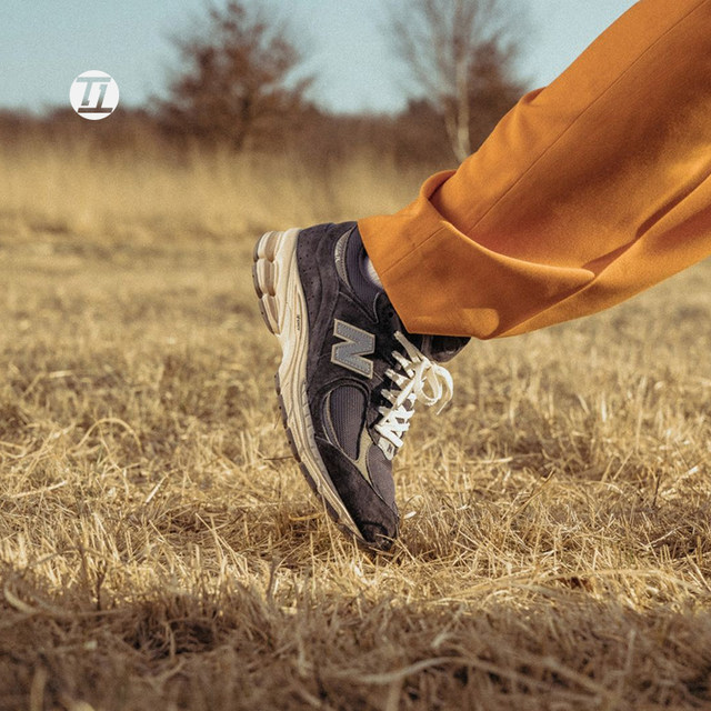 New Balance NB2002 Light Gray Gray Ancestral Gray Men and Women Classic ...