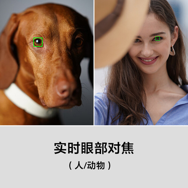 Sony (SONY) Alpha7RIV/A7RM4A full-frame mirrorless digital camera a7r4a