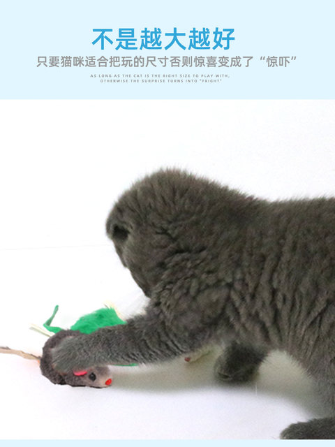 Cat toy Mouse self -relieved artifact rabbit, rabbit, electric remote ...