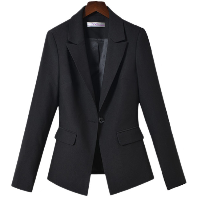 Small blazer for women spring and autumn new style simple commuting ...