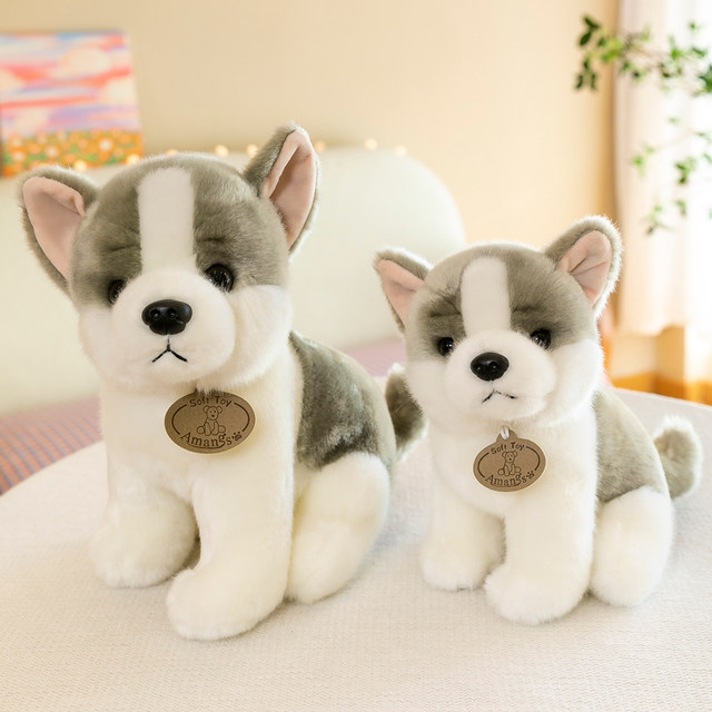Puppy plush toy cute comfort doll corgi doll genuine healing girl sleep ...