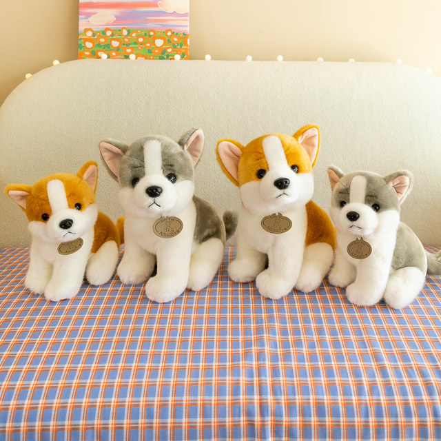 Puppy plush toy cute comfort doll corgi doll genuine healing girl sleep ...