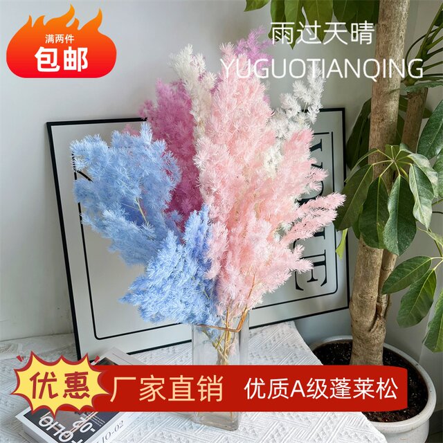 Eternal Flower Penglairo -Slutin Flower Nordic Flower Bouncing Advanced ...