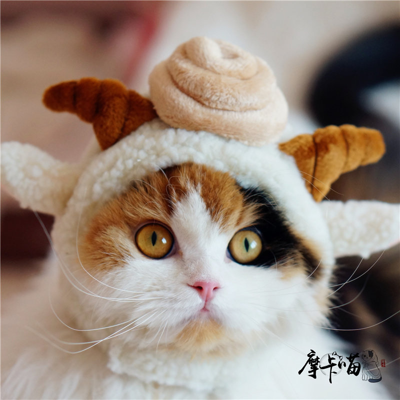 Mocha Meow ペット帽子 - 猫、犬、小動物用ヘッドギア