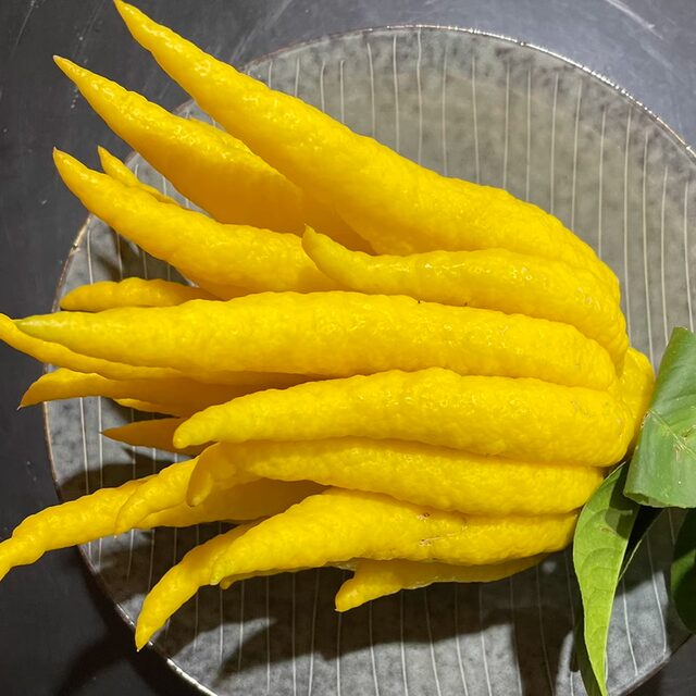 Authentic Jinhua Buddha Hand Fresh Buddha Hand Fruit Bergamo Place ...