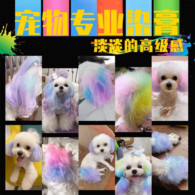 Dog hair dye hair pet special white bichon teddy animal cat dye hair ...