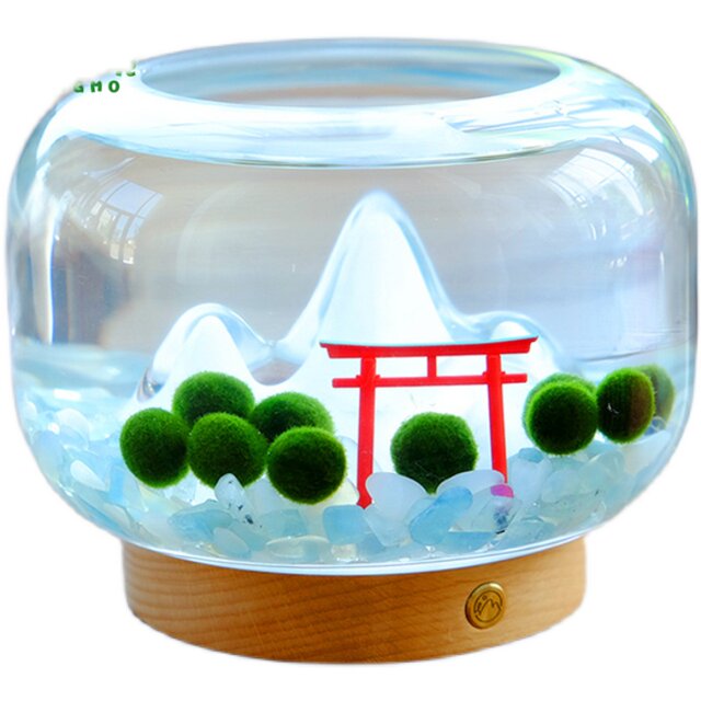Japanese-style warm mountain home marimo seaweed ball diy micro-landscape desktop plant potted ...