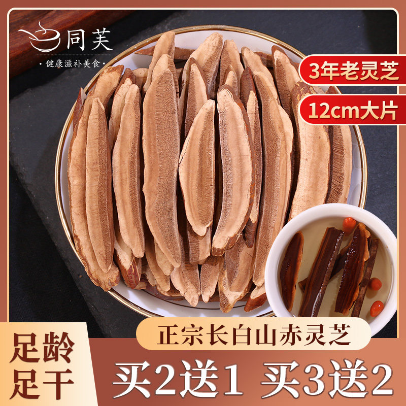 Red Ganoderma Lucidum Slice Tea