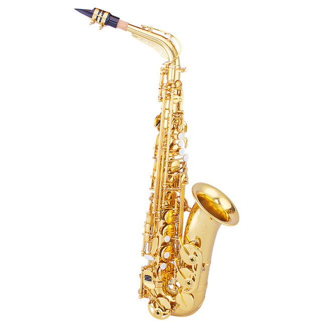 Taishan e-flat alto saxophone TSAS-5000 saxophone instrument adult ...