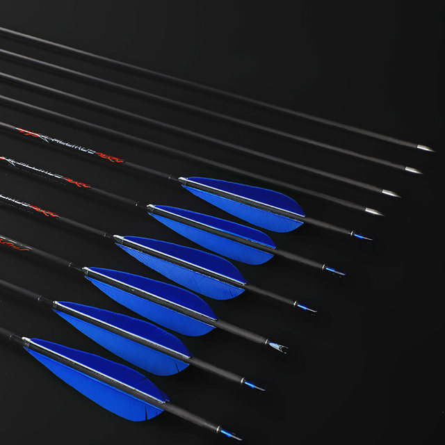 Bow and arrow pure carbon arrow branches one beaten thousand three ...