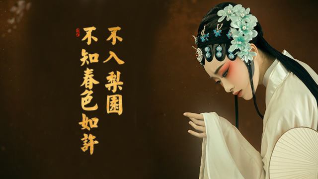 Drama and opera headdress, little flower girl, hair, flower strips ...