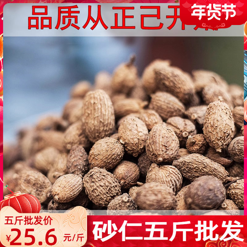 Amomum Villosum 500g | New Shell Amomum Villosum Imported from Yangchun ...