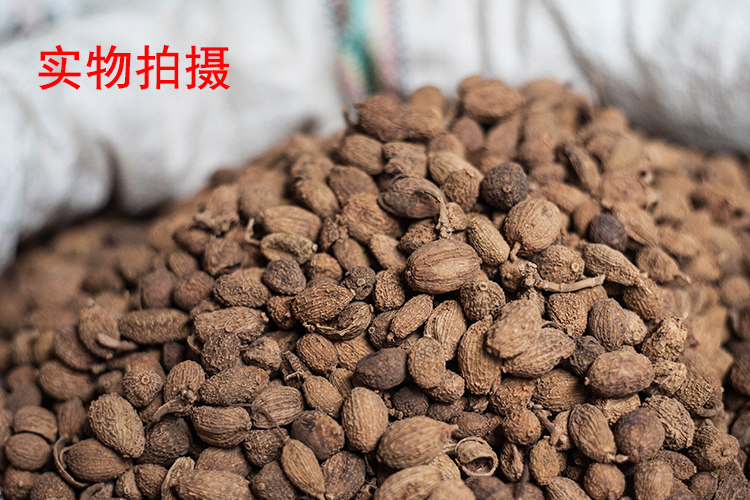 Amomum Villosum 500g - Spice Seasoning - Imported Yangchun Sand Maw