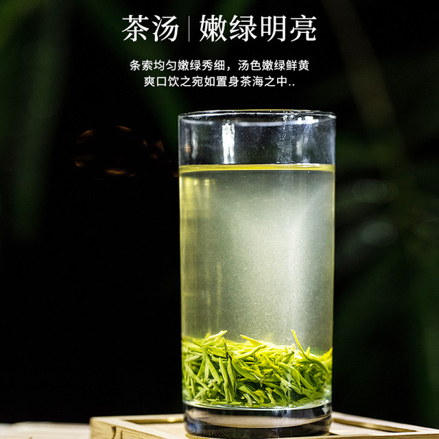 Junzishui Yongchuan Xiuya 2024 Tea Xiuya Maojian Special Specialty Gift ...