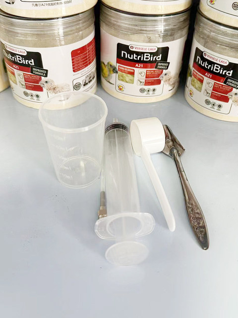 Belgian Versailles parrot milk powder low-fat hand-raised 0-day chicks ...