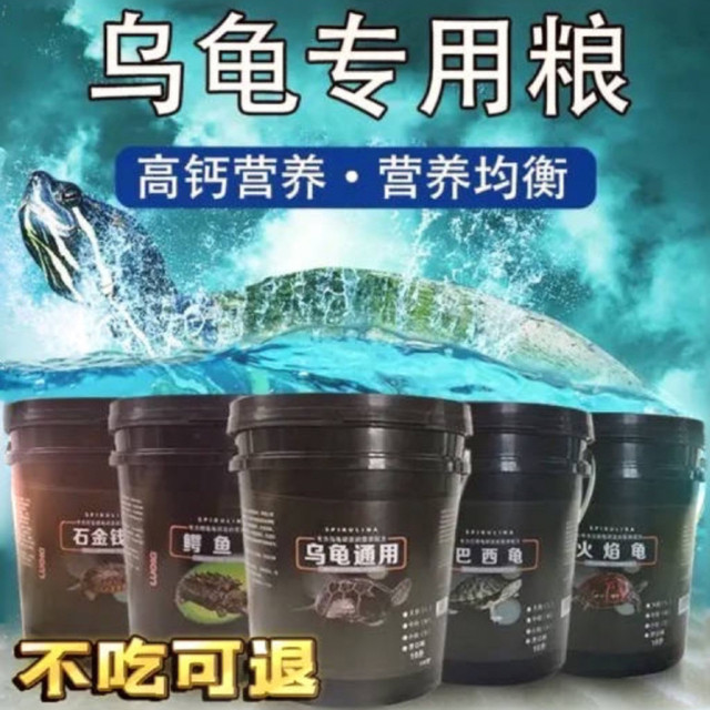 Turtle feed turtle grain, money, money, turtle grain, money, turtle ...