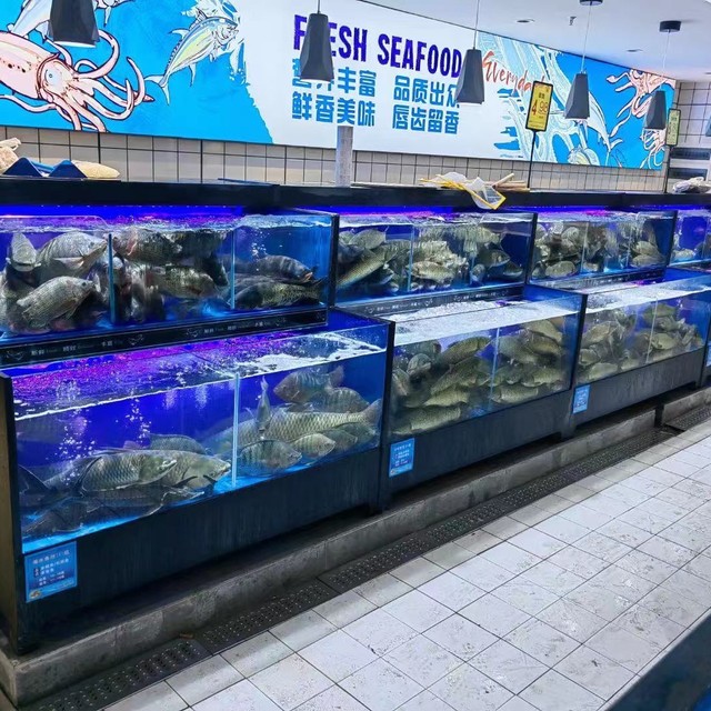 Seafood Tanks for Commercial Use in Restaurants, Hotels, Supermarkets ...